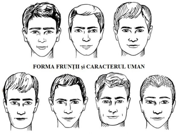 Forma FRUNTII si CARACTERUL uman - Suada